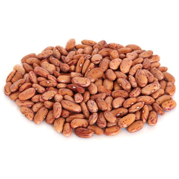 Seed Co Zimbabwe | Field Crops