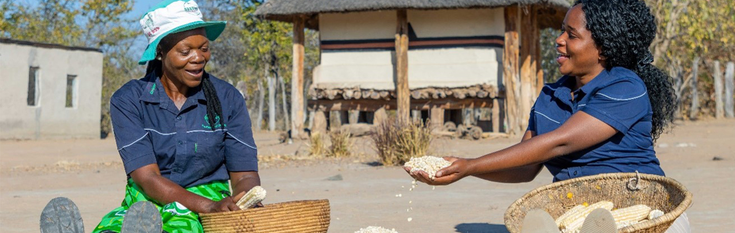 Seed Co Zimbabwe | Field Crops