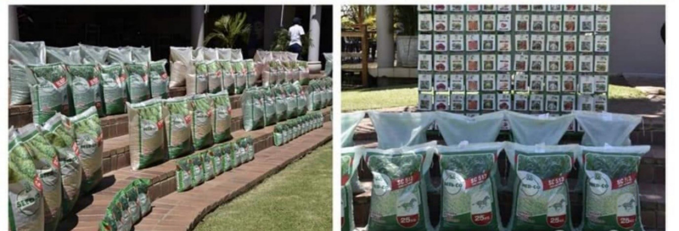 Seed Co Zimbabwe | Field Crops